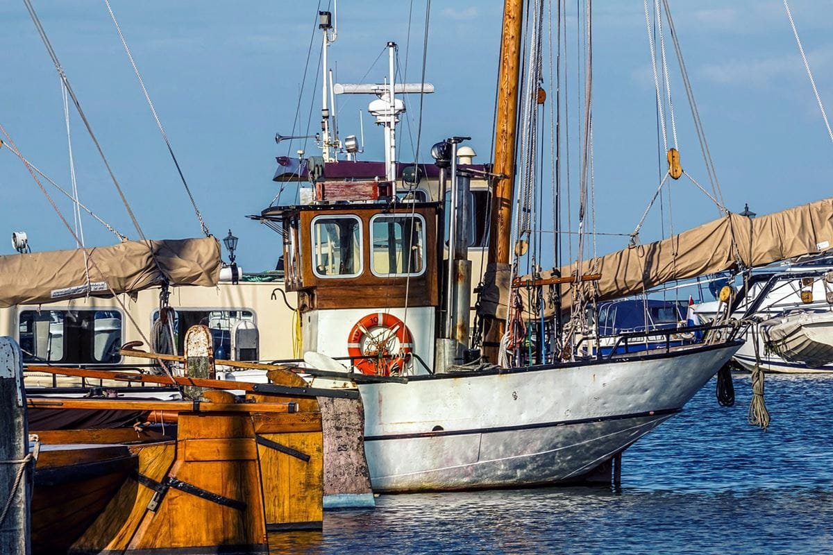 EU Council agrees 'sustainable' Baltic Sea fishing quotas for 2025 ...