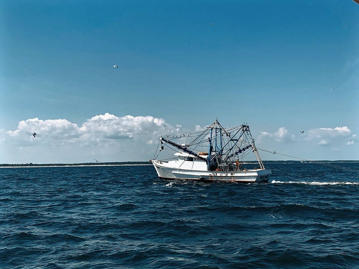 Eu Secures Deal For Non Sustainable Fishing By Third Countries